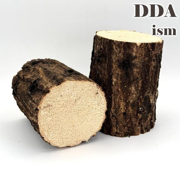 【製品仕様】コナラ主体(1本入り)長さ13cm前後(中ケース、スライダーラージにピッタリ)Mサイズ以上〜太め材ランダムやや硬め〜柔らかめ〜超柔らかめランダム(※SB材表記基準)(※材質の指定はできません)くわがた 飼育 産卵 産卵セット 幼...