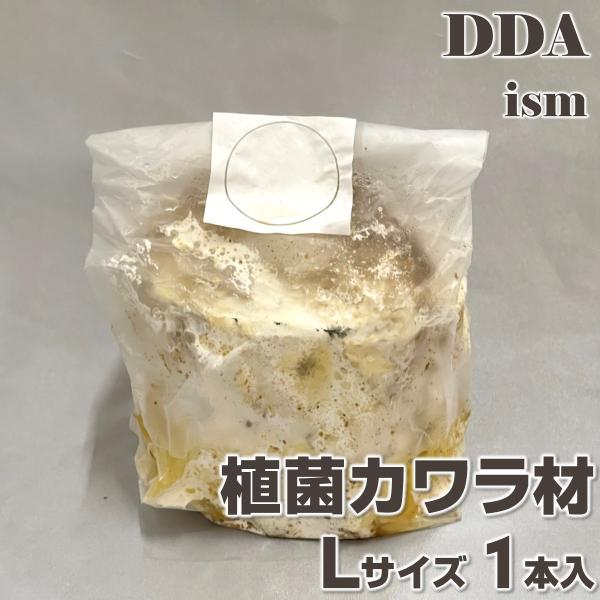 (生産国:日本) (サイズ:L×1本入り) (素材(ペットグッズ):クヌギ/コナラ) くわがた 飼育 産卵 植菌材