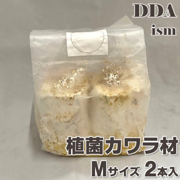 (生産国:日本) (サイズ:M×2本set) (素材(ペットグッズ):クヌギ/コナラ) くわがた 飼育 産卵 植菌材