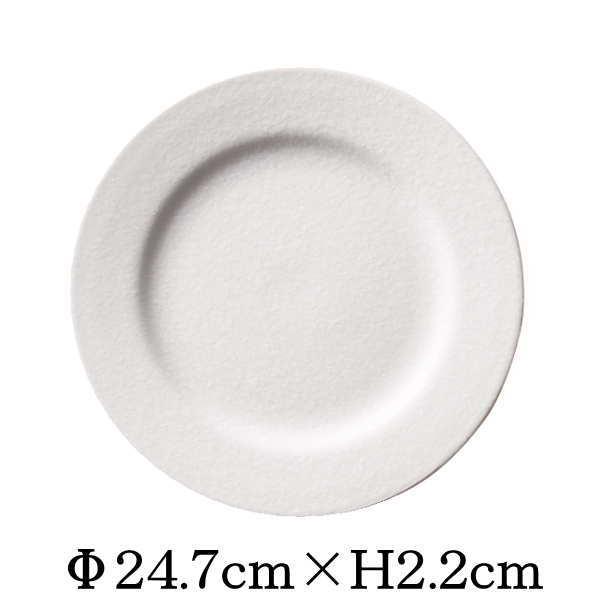 【サイズ】φ24.7cm×H2.2cm　窪み部分の内径15.7cm【カラー】白/ホワイト【素材】磁器【取り扱い】電子レンジ○、食洗機○、直火×、オーブン×【用途】焼き物、揚げ物、てんぷら、刺身、八寸、パスタ皿、メイン料理、オードブル盛り合わ...