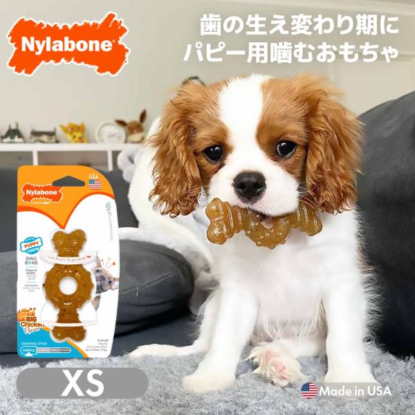 半透明で削れやすい柔らかめ素材のパピーチュウ リングボーンは、凹凸とブツブツの2種類のテクスチャーがワンちゃんを楽しませてくれます。チキンフレーバーが全体にしみ込んでおり、飽きずに楽しくカミカミ。やわらか素材でデリケートな歯ぐきをいたわりな...