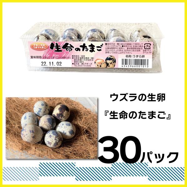 豊橋名産 うずらの卵 300個入り豊橋名産のうずら卵です。ご贈答用にもお奨めです。塩野谷養鶉場さんで生産された安心・安全、国産鶉のたまごです。平井理論を元にきれいな空気とミネラルたっぷりのお水、抗生物質などの薬品の入らない新鮮なエサで玉子を...