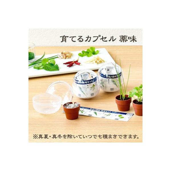 必ずご確認ください本商品は色柄指定不可商品となります。掲載写真の柄・または同シリーズ商品など類似の柄からランダムに色柄が選択されますご希望の色柄でなかった事を理由とした返品等は一切承っておりません栽培に必要なものをカプセルに詰め込んだ栽培セ...