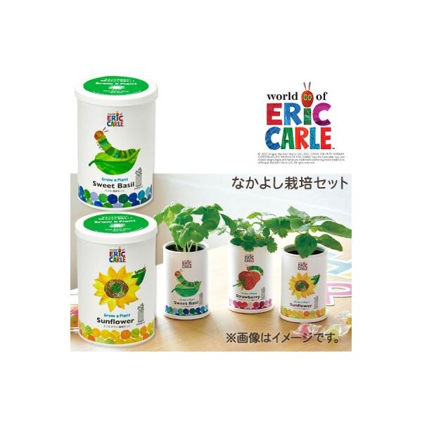 必ずご確認ください本商品は色柄指定不可商品となります。掲載写真の柄・または同シリーズ商品など類似の柄からランダムに色柄が選択されます。ご希望の色柄でなかった事を理由とした返品等は一切承っておりません。お子さまのおうち時間が楽しくなる植物をす...