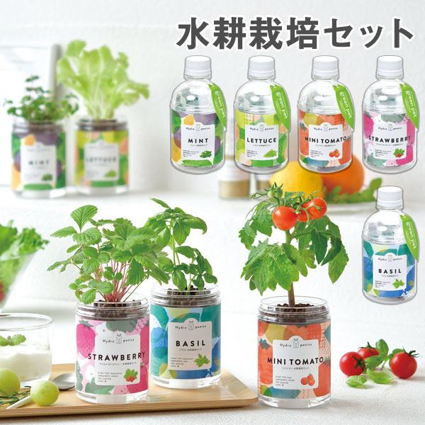 必ずご確認ください本商品は色柄指定不可商品となります。掲載写真の柄・または同シリーズ商品など類似の柄からランダムに色柄が選択されます。ご希望の色柄でなかった事を理由とした返品等は一切承っておりません。お手軽に植物の栽培ができるペットボトルで...