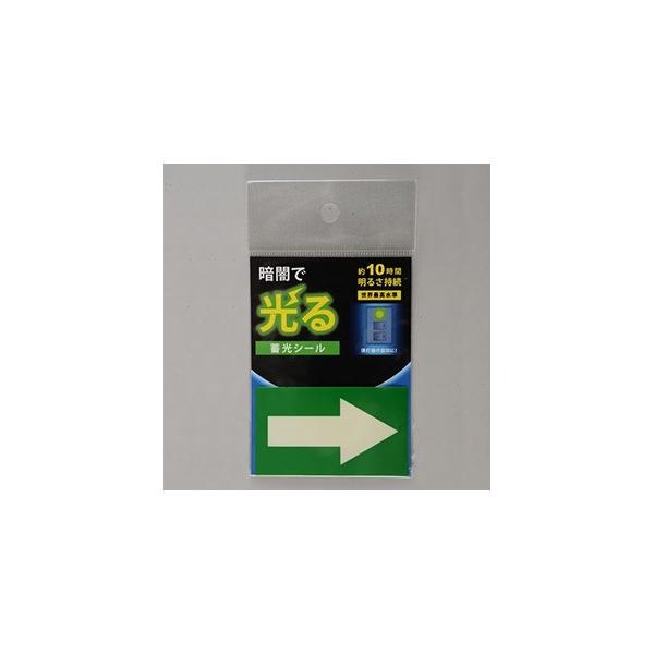 【仕様】●メーカー:花岡　●型番:AF2006　●商品名:蓄光シール　●α-FLASH　●標示タイプ　●内容:「矢印」×1枚　●サイズ(mm):70×40　●材質:表面 PETフィルム/基材 ポリエステル樹脂・蓄光材/粘着剤 アクリル系　●...