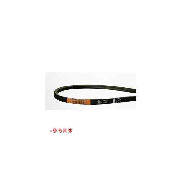 メーカー：三ツ星ベルト在庫状況：メーカー在庫品のため取り寄せ出荷予定日：お支払い確認後の翌日〜３日以内（休業日は除きます）☆14：00以降のご注文の場合、翌日に出荷ができない場合がございます。★休業日はサイト内の営業日カレンダーでご確認をお...