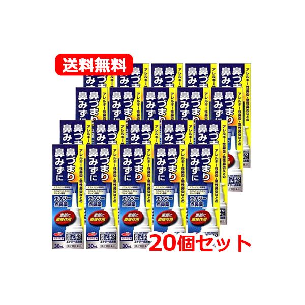 ナザールスプレー　と同成分配合！ナファゾリン塩酸塩 点鼻薬 くしゃみ 鼻みず 鼻づまり 急性鼻炎 鼻水 アレルギー性鼻炎 副鼻腔炎 ナザール スプレー ジェネリック ナザールスプレー パブロン点鼻効能・効果  アレルギー性鼻炎，急性鼻炎又は...