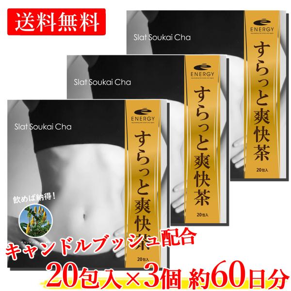 ノンカフェイン ダイエットティー 爽快茶健康茶 すらっと 爽快 キャンドルブッシュ ティー商品特長 皆様がすらっと爽快な気持ちになれる様開発しました。ノンカフェインで、香ばしい和風テイストでほのかに甘い健康茶です。健康茶 茶師、 とよはしの...