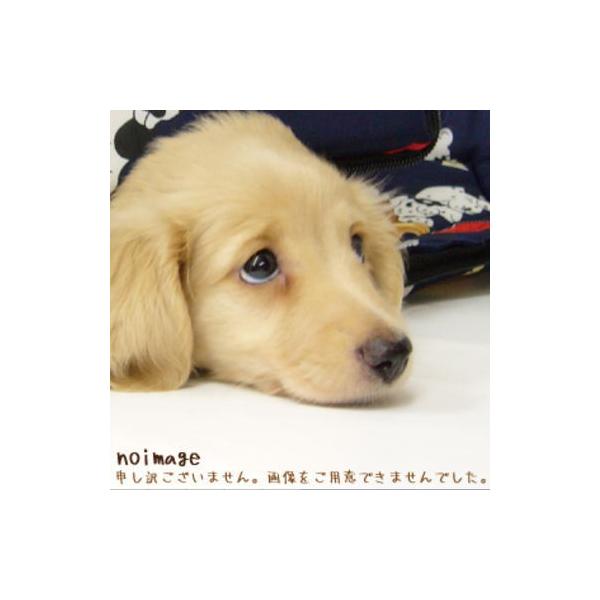 適用機種:KC-M511,KC-M511-W,KC-M511-B,KC-M41BH,KC-M41BH-W,KC-M41BH-B,KC-M51BH,KC-M51BH-W,KC-M51BH-B,KC-M50B,KC-M50B-W※ホワイト(W)...