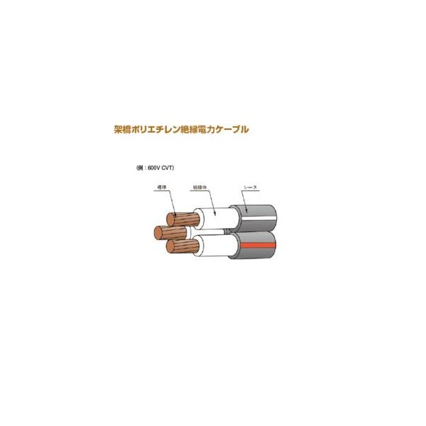 【重要】※1本の長さ最大30m以内であれば、複数ご注文可能です。複数 ご購入をご希望の場合は、合計のメートル数にてご購入していただき 切断する長さをご注文フォーム備考欄にご記入下さい。（例）：合計100m注文の場合　(切断の長さ： 30m ...