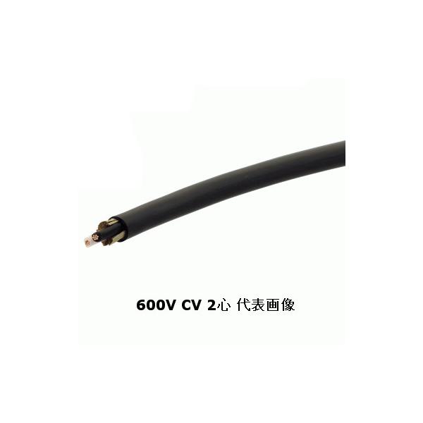 CVケーブル CV2.0sq 2芯 cv2.0SQ×2C 電線 CV2-2 フジクラ 住電日立 即日発送 人気の新作