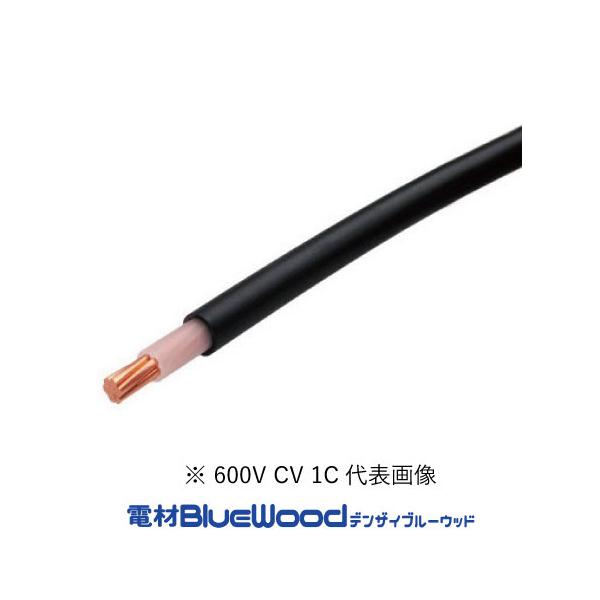 CV8SQx1C