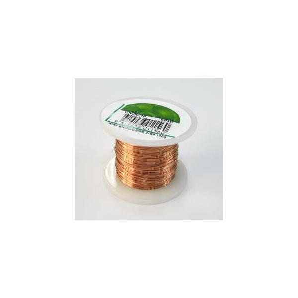 約100g