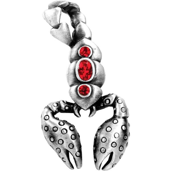 商品名Red ScorpionペンダントCollectible MedallionネックレスアクセサリージュエリーYTC Summit Red Scorpion Pendant Collectible Medallion Necklace ...