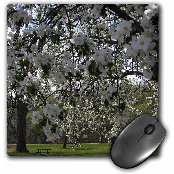 商品名3drose LLC 8 x 8 x 0.25インチPeaceful公園、の桜花マウスパッド( MP _ 11553 _ 1 )3dRose LLC 8 x 8 x 0.25 Inches Peaceful Park, Cherry ...