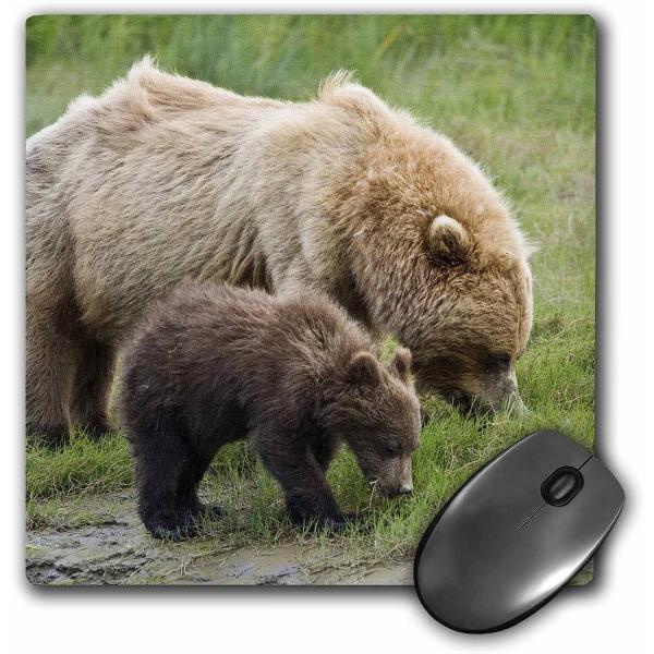 商品名3D Rose ""アラスカ湖クラーク国立公園 グリズリーベアズUs02 Bth0014Brenda Tharp"" マット仕上げマウスパッド - 8 x 8インチ - mp_87417_13D Rose ""Alaska Lake ...