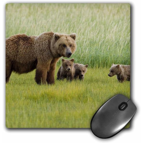商品名3drose Alaskanブラウンクマ、カトマイ国立公園、アラスカ、us02 hga0113、ハウイーマウスパッド(MP 87491 _ 1 )3dRose Alaskan Brown Bears, Katmai National ...