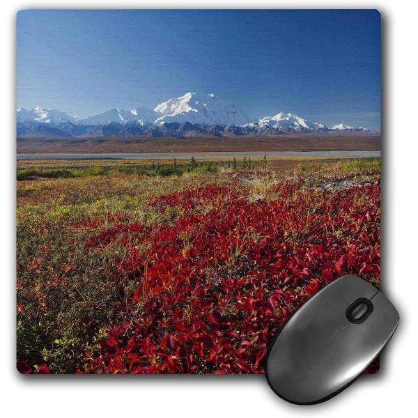 商品名3drose USA、アラスカ、デナリ国立公園、MT McKinley   us02 hro0686マウスパッド、8 "" x 8 "" (MP 141940 _ 1 )3dRose USA, Alaska, Denali Natio...