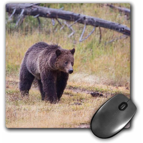 商品名3D ローズ マット仕上げ マウスパッド - 8 x 8 8 x 8""3D Rose ""Wyoming Yellowstone National Park Grizzly Bear."" Matte Finish Mouse Pa...