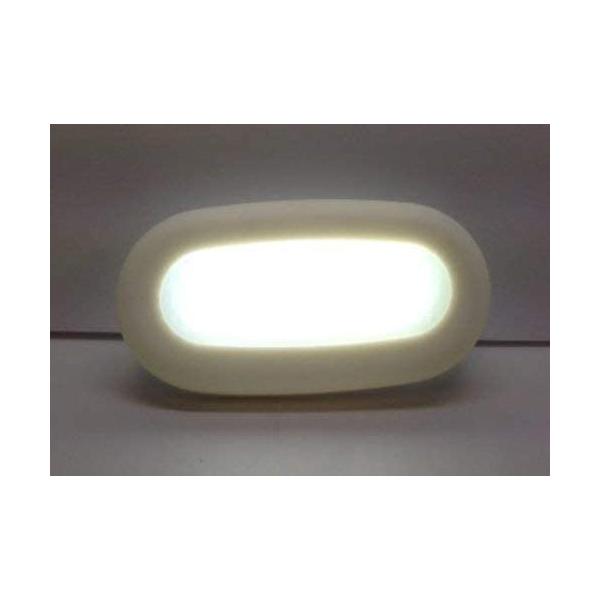 商品名Pactrade Marine RV トレーラー マリンボート LED表面マウント ライト 防滴 ホワイトMARINE RV TRAILER MARINE BOAT LED SURFACE MOUNT WHITE COLOR LIGH...