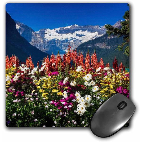 商品名3dRose Mouse Pad Flowers at Lake Louise, Banff National Park, Alberta, Canada, 8 x 8"" (mp_257439_1)ブランド：3dRose商品サイズ：...
