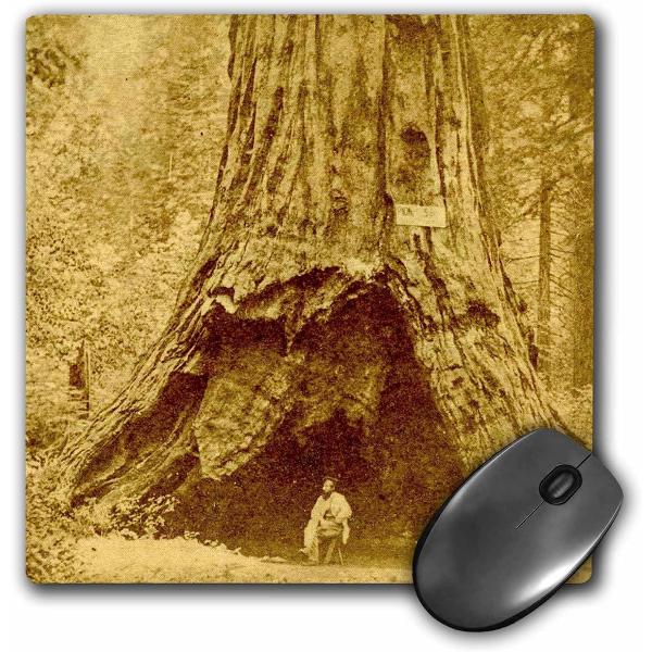 商品名3dRose Mouse Pad Giant Sequoia Calaveras Big Trees State Park California Pioneer Cabin, 8 x 8"" (mp_270008_1)ブランド：3dR...