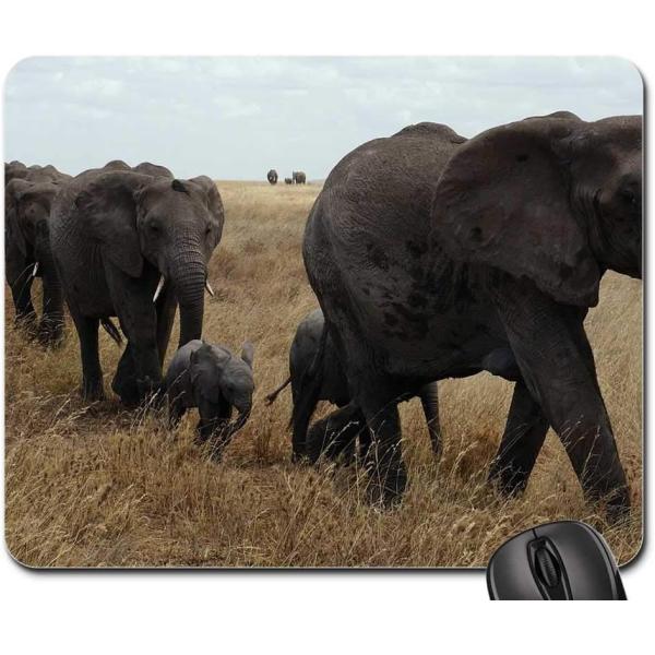 商品名Mouse Pad - Elephant Serengeti National Park Pachyderm Safariブランド：Yuatuwaw商品サイズ：商品番号：色：素材：Rubber