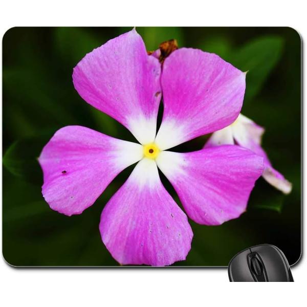 商品名Mouse Pad - Chichewa Spring Beautiful Park Color Garden 2ブランド：Yuatuwaw商品サイズ：商品番号：色：素材：