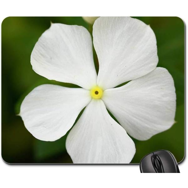 商品名Mouse Pad - Chichewa Spring Beautiful Park Color Gardenブランド：Yuatuwaw商品サイズ：商品番号：色：素材：