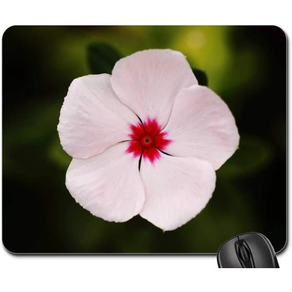 商品名Mouse Pad - Chichewa Spring Beautiful Park Color Garden 1ブランド：Yuatuwaw商品サイズ：商品番号：色：素材：