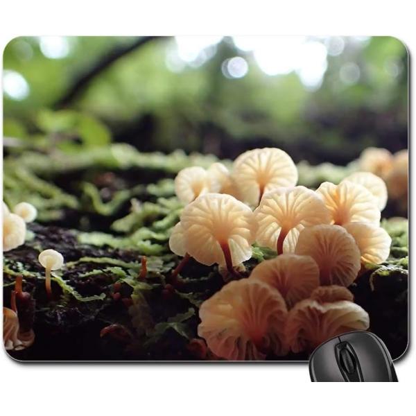 商品名Mouse Pad - New Zealand Coromandel Forest Park Bush Fungiブランド：Yuatuwaw商品サイズ：商品番号：色：素材：