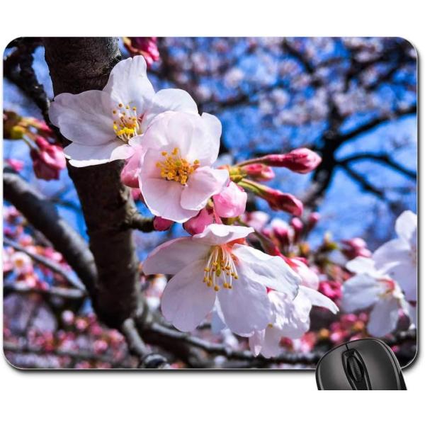 商品名Mouse Pad - Tokyo Spring Cherry Blossom Flower Outdoor Parkブランド：Yuatuwaw商品サイズ：商品番号：色：素材：Rubber