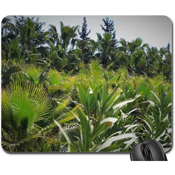 商品名Mouse Pad - Palm Trees Park Plant Green Holiday Nature Summerブランド：Yuatuwaw商品サイズ：商品番号：色：素材：