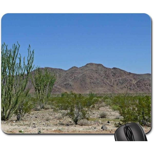 商品名Mouse Pad - Ocotillo Joshua Tree National Park California USAブランド：Yuatuwaw商品サイズ：商品番号：色：素材：