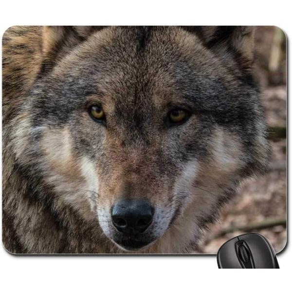 商品名Mouse Pad - Wolf Wild Carnivores Wildlife Park Pack Animal 2ブランド：Yuatuwaw商品サイズ：商品番号：色：素材：