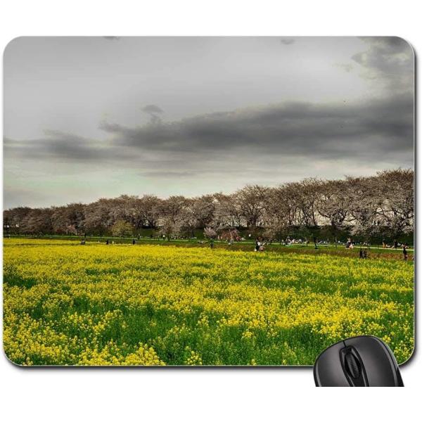 商品名Mouse Pad - Gongendo Park Japan Cherry Trees Flowersブランド：Yuatuwaw商品サイズ：商品番号：色：素材：