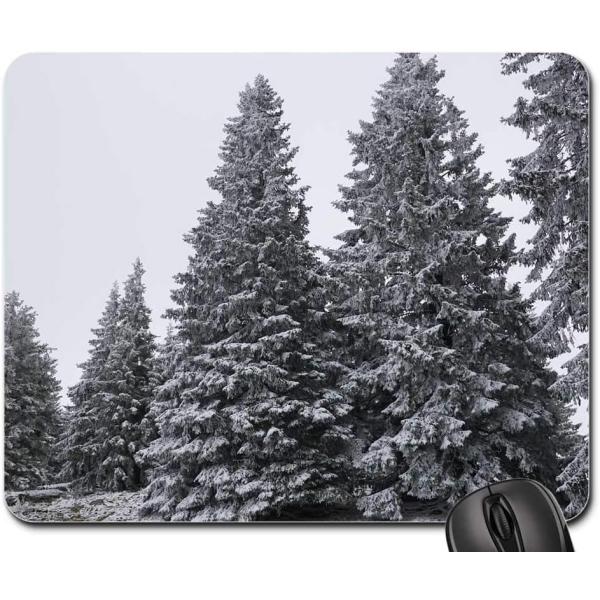 商品名Mouse Pad - Winter Forest Firs Park Trees Snowfall Whiteブランド：Yuatuwaw商品サイズ：商品番号：色：素材：