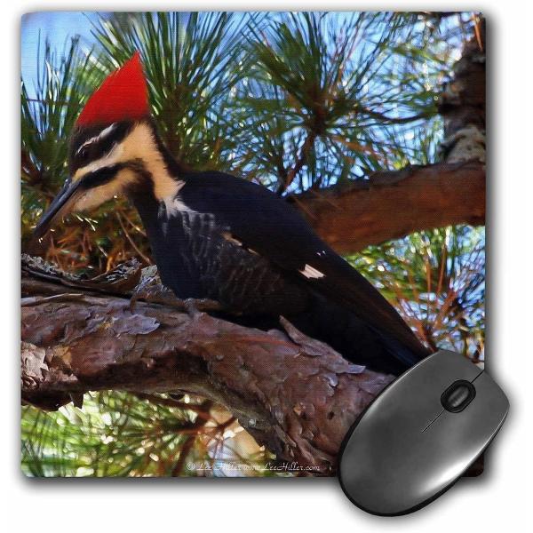 商品名3dRose Lee Hiller Photography Hot Springs National Park Wildlife - Birds Juvenile Pileated Woodpecker II - Mousepad (...