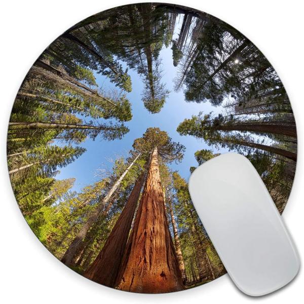商品名Amcove ゲーミングラウンドマウスパッド カスタム ジャイアントセコイアツリーマウスパッド ラウンドマウスパッド ヨセミテ国立公園マウスパッド オフィス用品 友人へのギフト デスクアクセサリーAmcove Gaming Round...