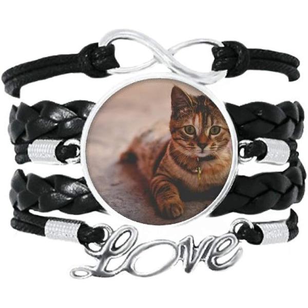 商品名DIYthinker Animal Quiet Cat Photograph Bracelet Love Accessory Twisted Leather Knitting Rope Wristband Giftブランド：DIYth...