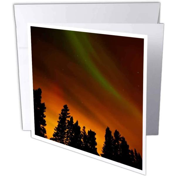 商品名3dRose Canada, Manitoba, Birds Hill Provincial Park. Aurora. - Greeting Cards (gc_329750_5)ブランド：3dRose商品サイズ：Individua...