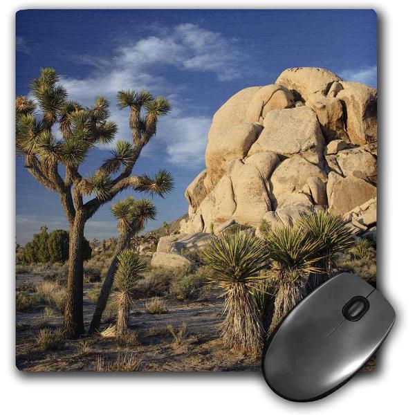 商品名3dRose USA, California. Joshua Tree, Joshua Tree National Park. - Mouse Pads (mp_345907_1)ブランド：3dRose商品サイズ：商品番号：mp_34...