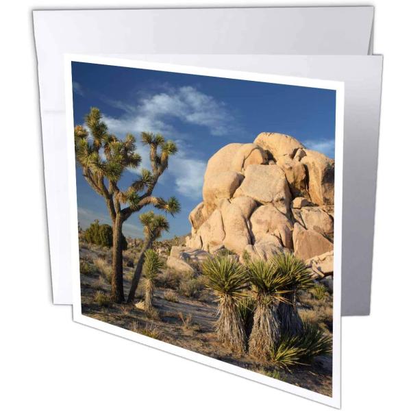 商品名3dRose USA, California. Joshua Tree, Joshua Tree National Park. - Greeting Cards (gc_345907_5)ブランド：3dRose商品サイズ：Indivi...