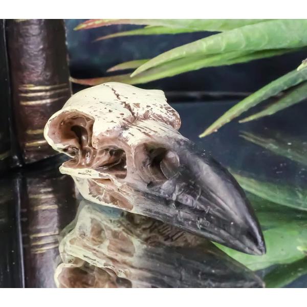 商品名Ebros ギフト Huginn and Muninn 小さな遺物 カラス スカル タリスマン ペンダント センターピース ジュエリーアクセサリー Ossuary Macabre 彫刻 チェーンなし (3)Ebros Gift Hug...