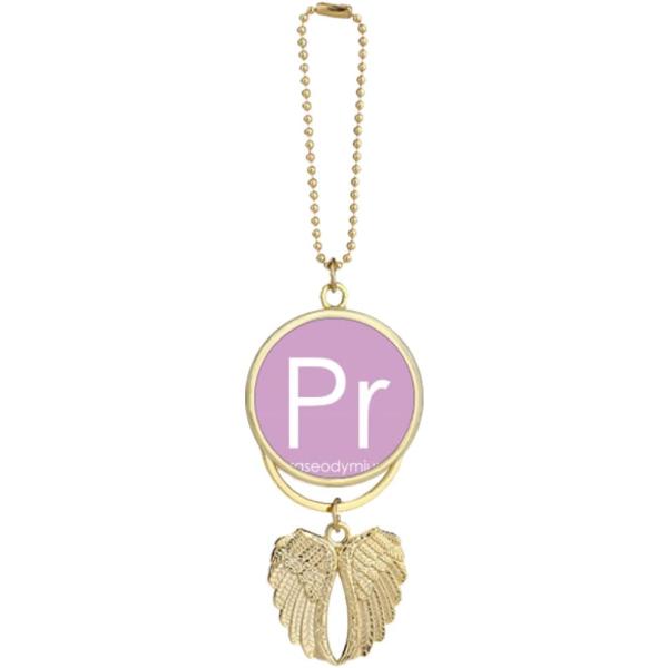 商品名Chestry Elements Period Table Lanthanide Praseodyum Pr Car Keychain Angel Wing Pendantブランド：DIYlab商品サイズ：Medium商品番号：x13...