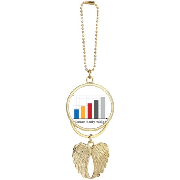 商品名Charts People Weight Gain Car Keychain Angel Wing Pendantブランド：DIYlab商品サイズ：Medium商品番号：x13988683b14006475f244472色：Multi...