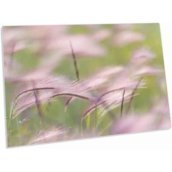 商品名3dRose Canada, Alberta, Peter Loughheed Provincial Park. Grass. - Desk Pad Place Mats (dpd-188424-1)ブランド：3dRose商品サイズ：...