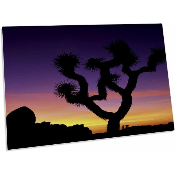 商品名3dRose Unique Yucca Tree in Joshua Tree National Park. - Desk Pad Place Mats (dpd-191093-1)ブランド：3dRose商品サイズ：商品番号：dpd_...