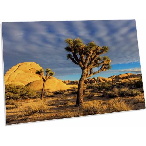 商品名3dRose Joshua Tree National Park, California - Desk Pad Place Mats (dpd-229965-1)ブランド：3dRose商品サイズ：商品番号：dpd_229965_1色：...